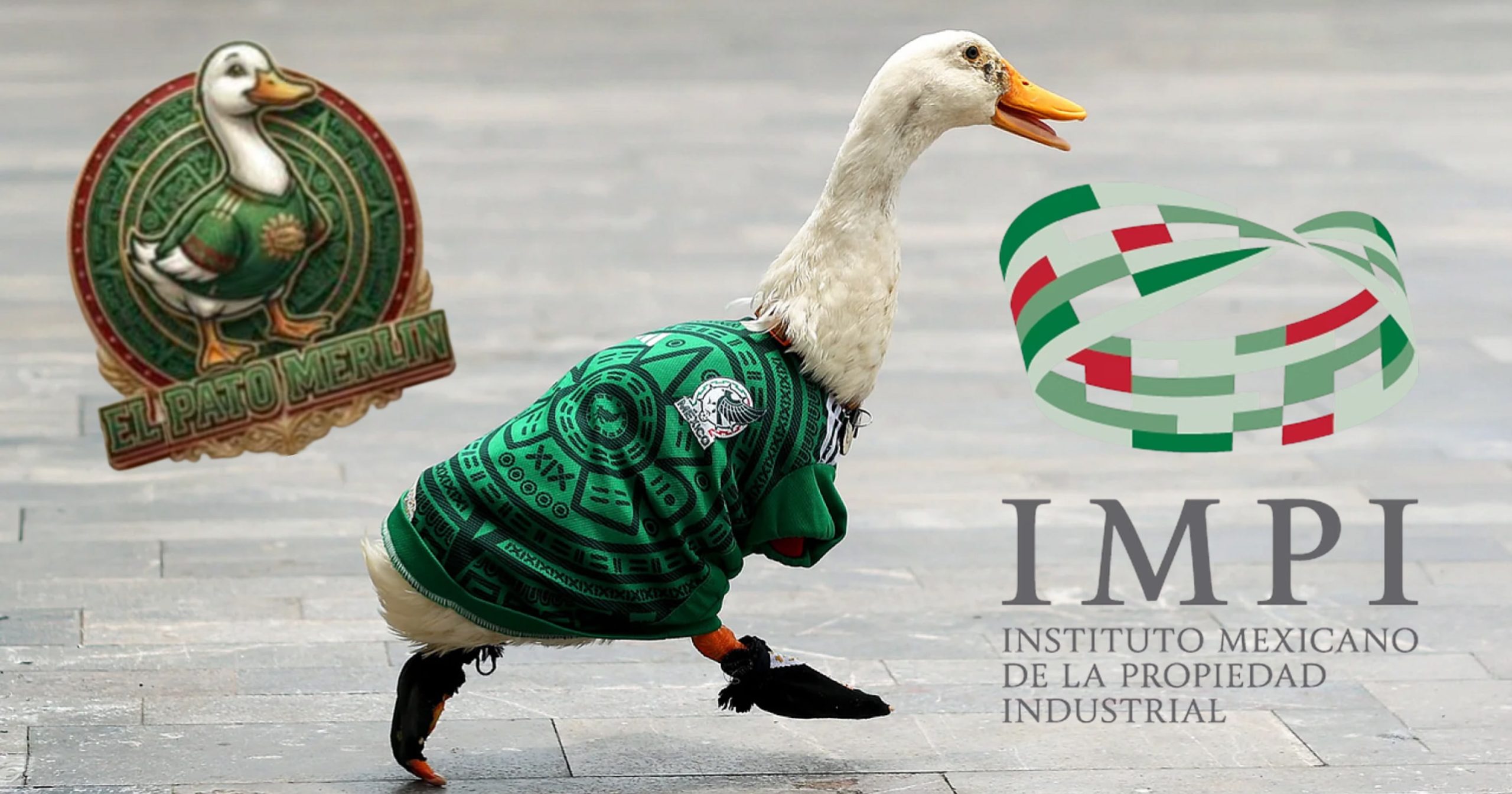 En Yucatán intentan registrar al Pato Merlín ante el IMPI, aquí te ...